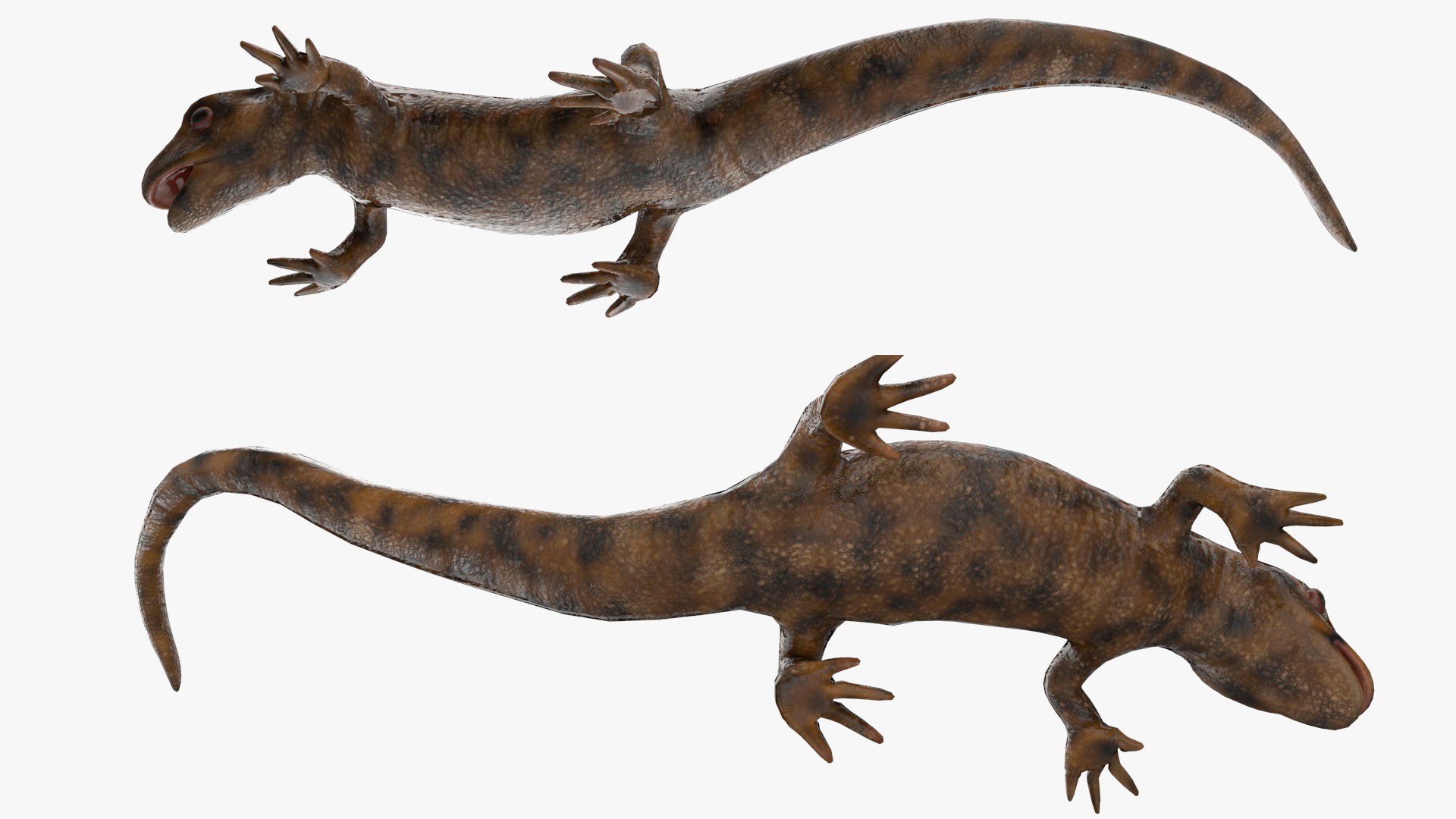 3D Model Iberian Ribbed Newt Rigged For Maya - TurboSquid 2157545