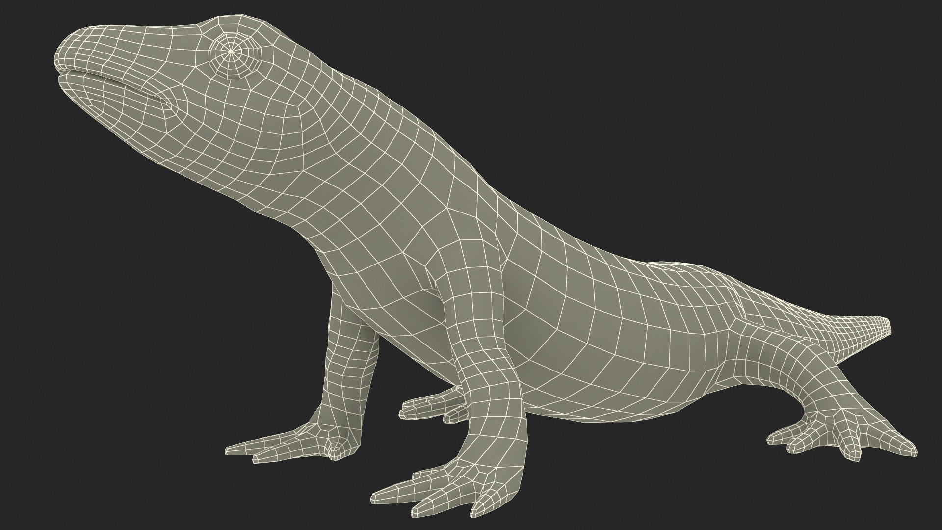 3D Model Iberian Ribbed Newt Rigged For Maya - TurboSquid 2157545