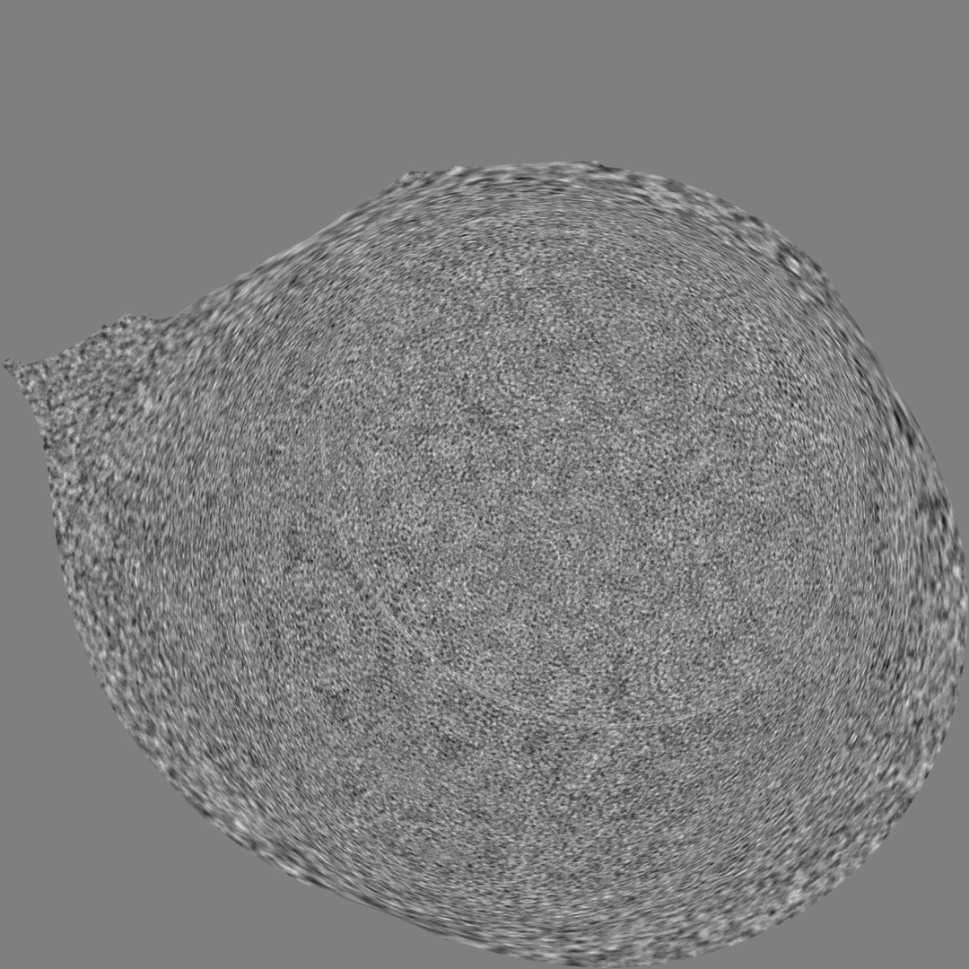 simple cell cross section 3d c4d