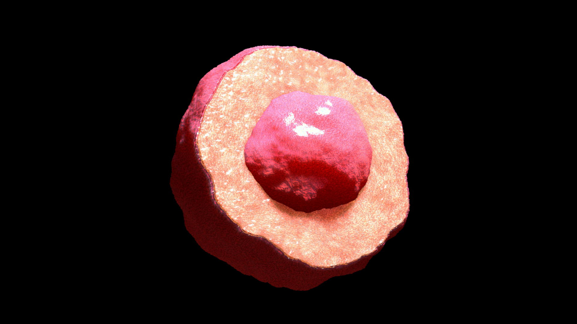 simple cell cross section 3d c4d