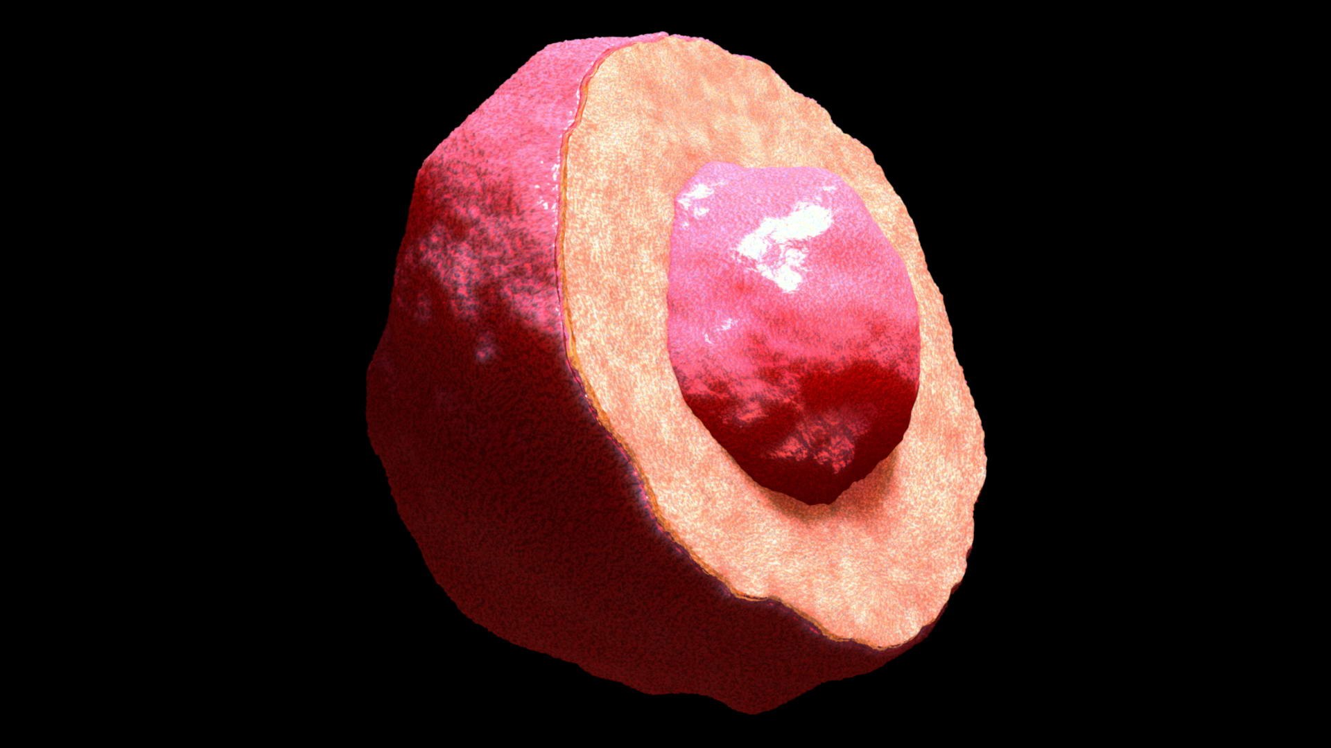 simple cell cross section 3d c4d