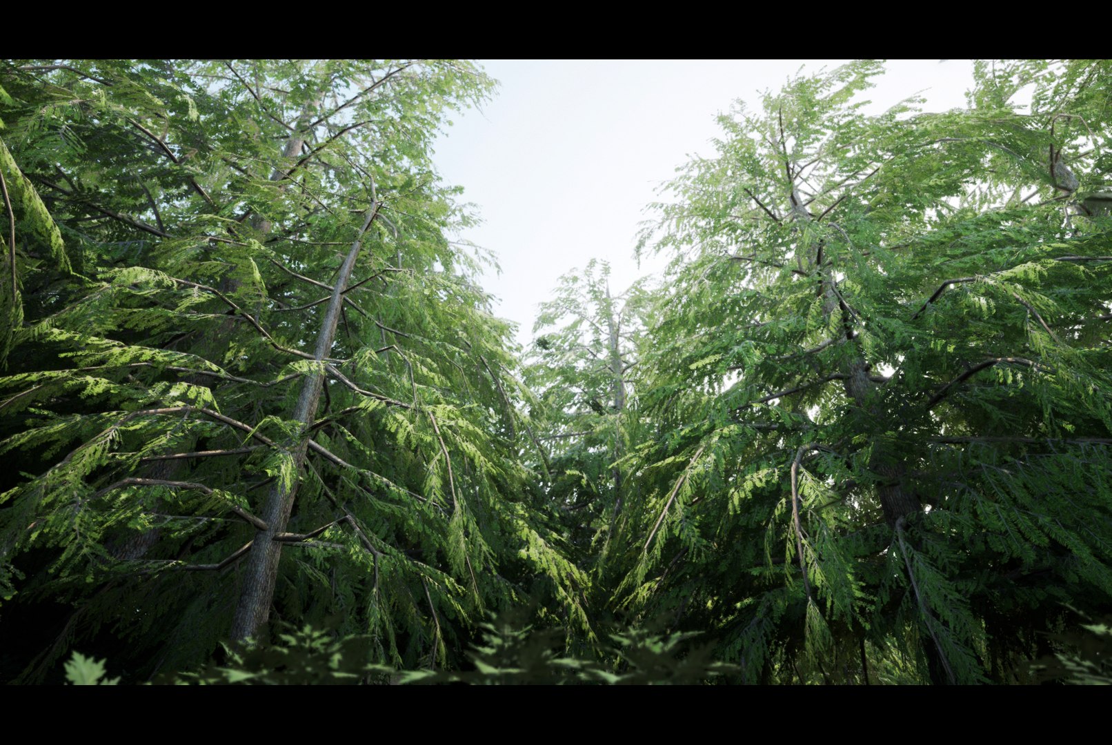 9 Realistic Himalayan Cedar Tree Plant Low Poly 3D Model 3D Model ...