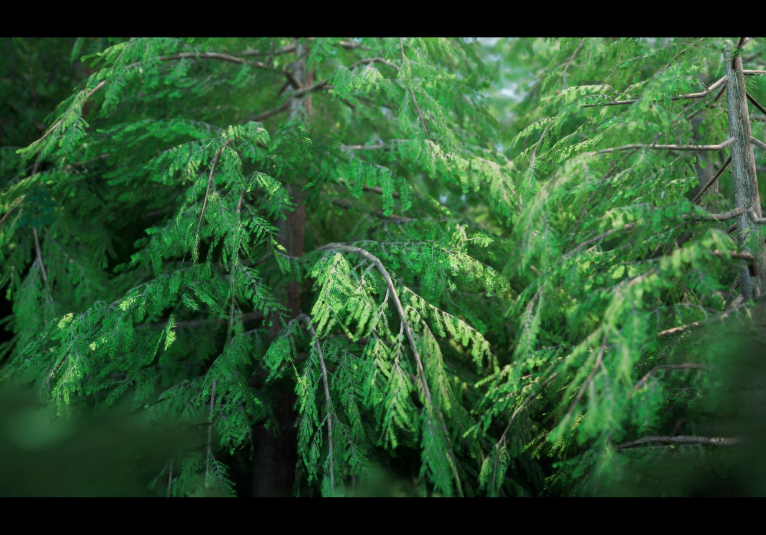 9 Realistic Himalayan Cedar Tree Plant Low Poly 3D Model 3D Model ...