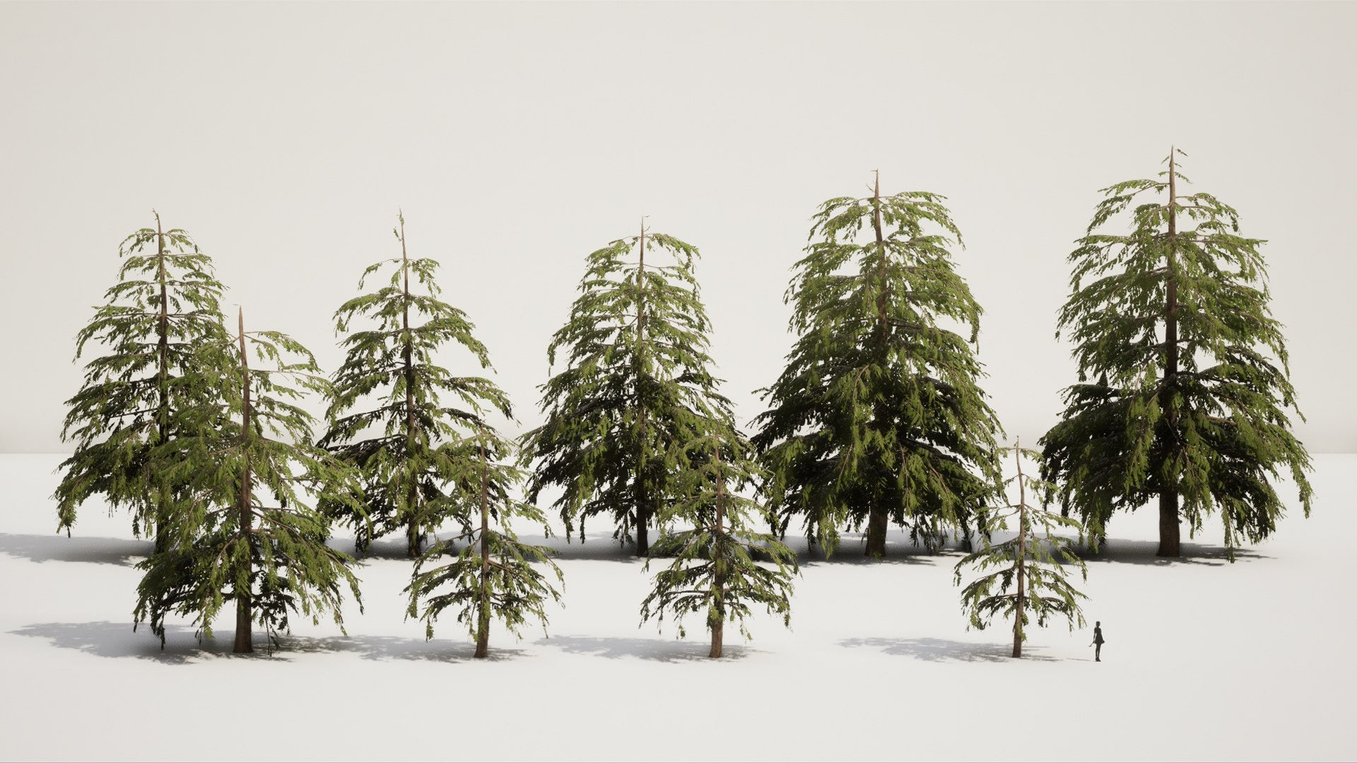 9 Realistic Himalayan Cedar Tree Plant Low Poly 3D Model 3D Model ...