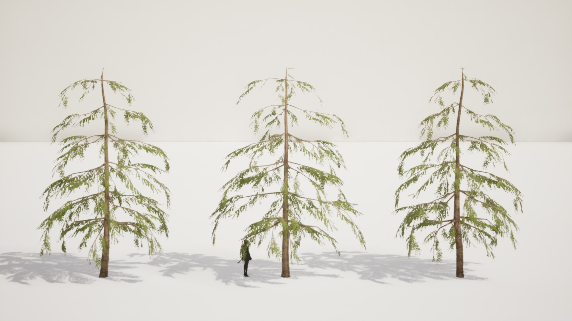 9 Realistic Himalayan Cedar Tree Plant Low Poly 3D Model 3D Model ...