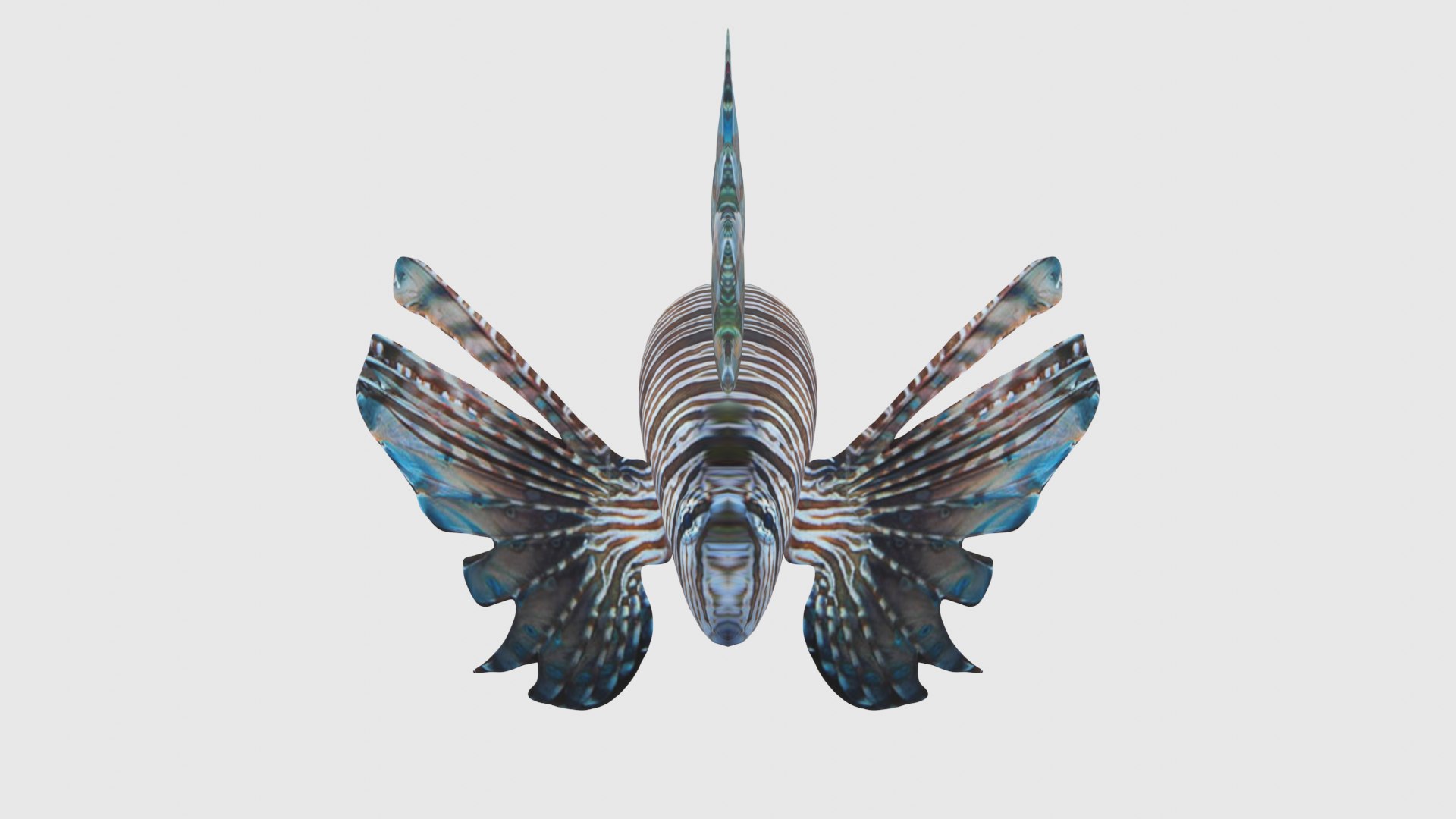Low Poly Lionfish Rigged With Realistic Texture 3D Model - TurboSquid ...