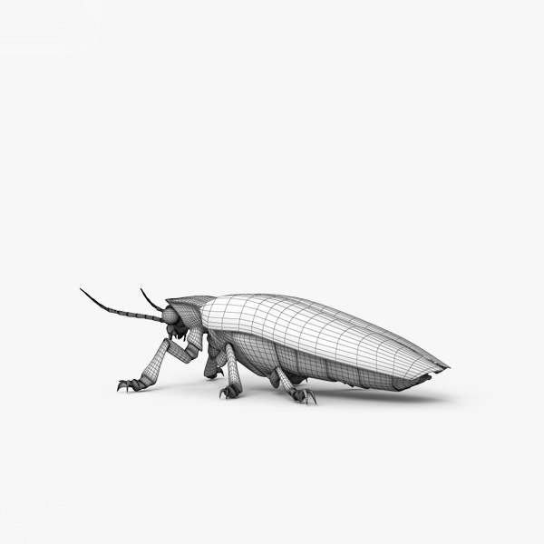 Firefly bugs insect model - TurboSquid 1512565