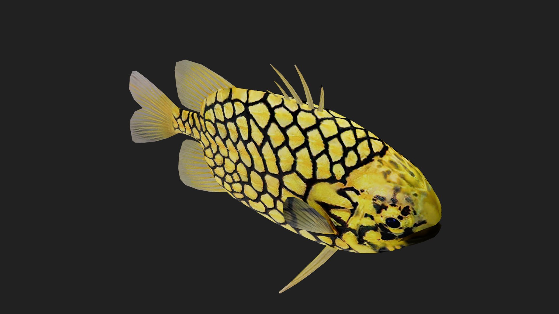 Snapper 3D Model - TurboSquid 2122920