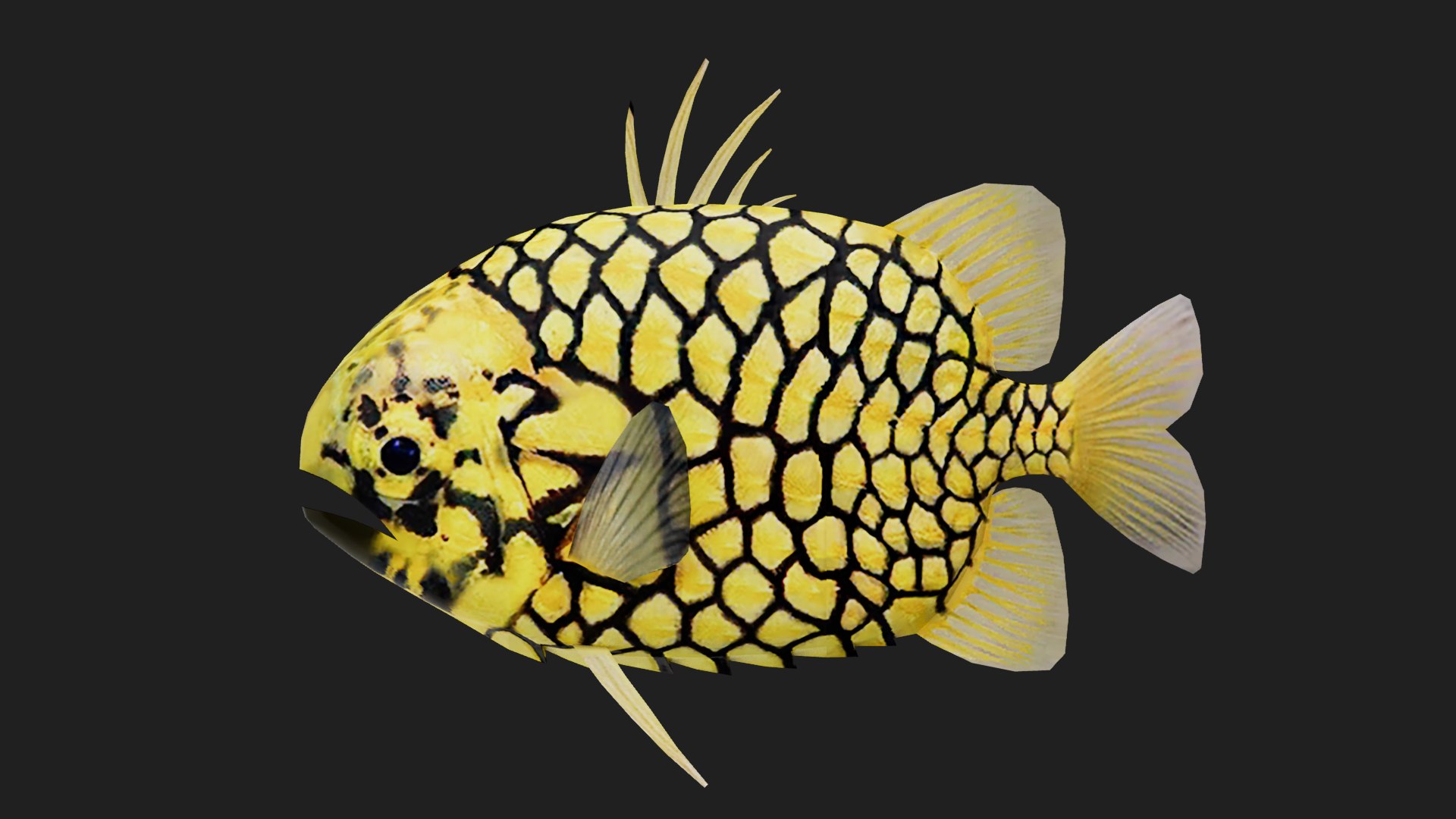 Snapper 3D Model - TurboSquid 2122920