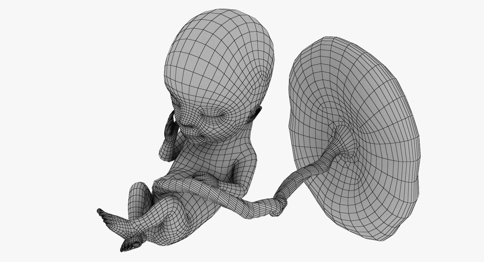 3D Fetus Week 12 Model - TurboSquid 1223406