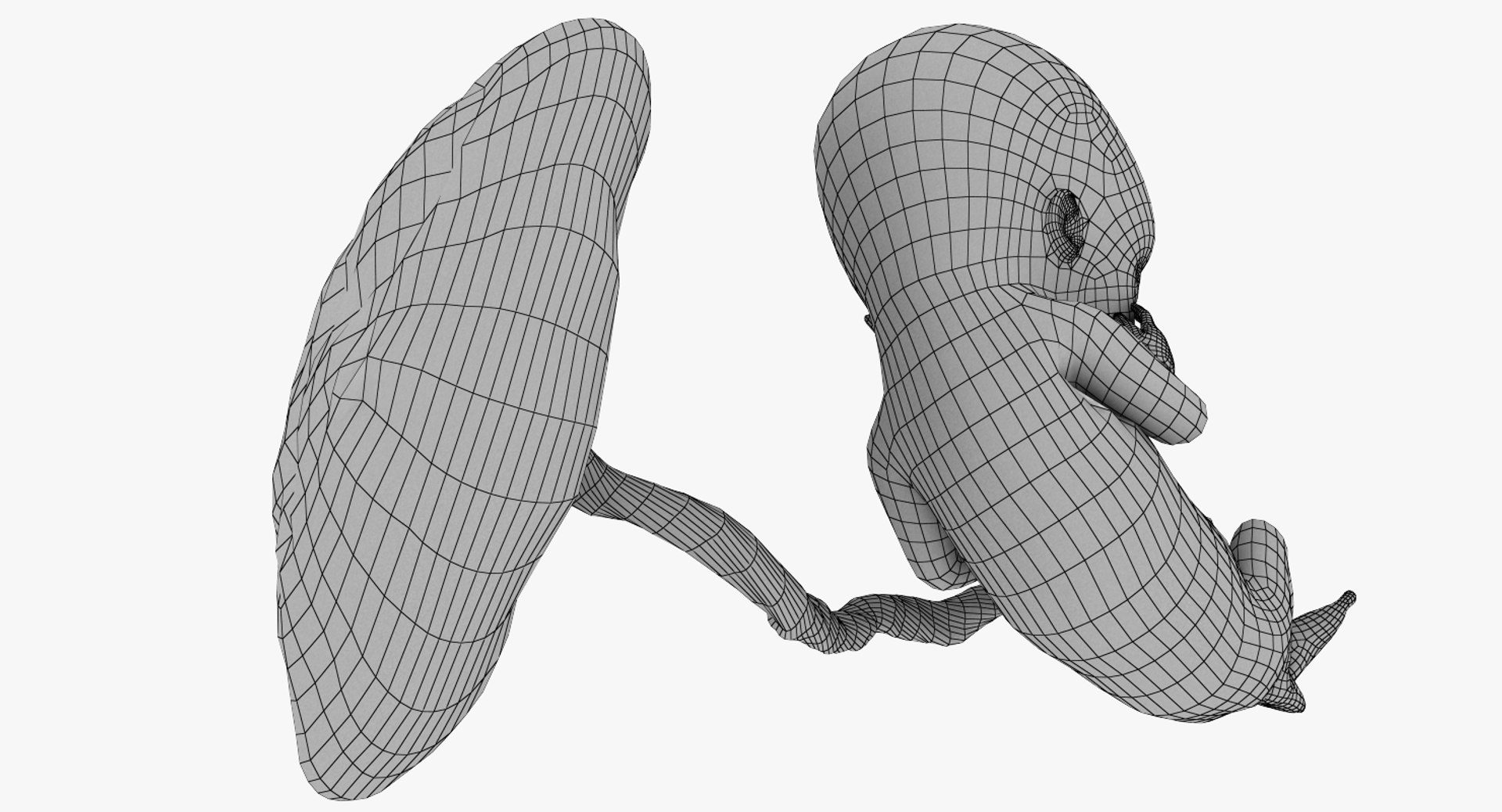 3D Fetus Week 12 Model - TurboSquid 1223406