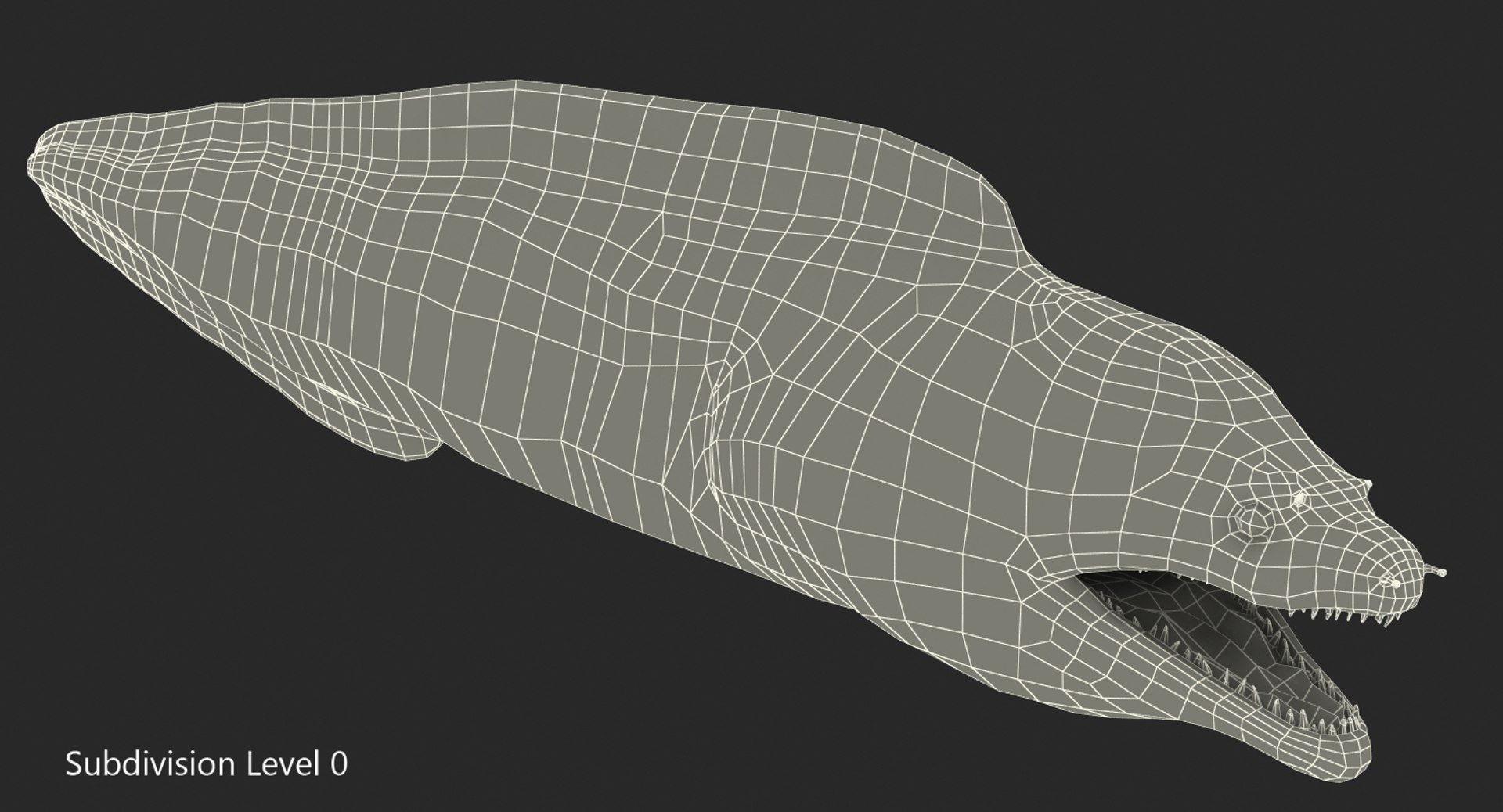 Murena 3d Model