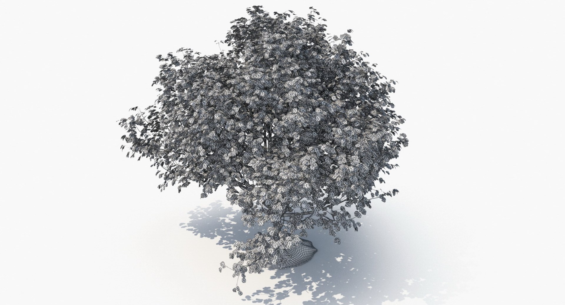 3D Realistic Tree Model - TurboSquid 1209580