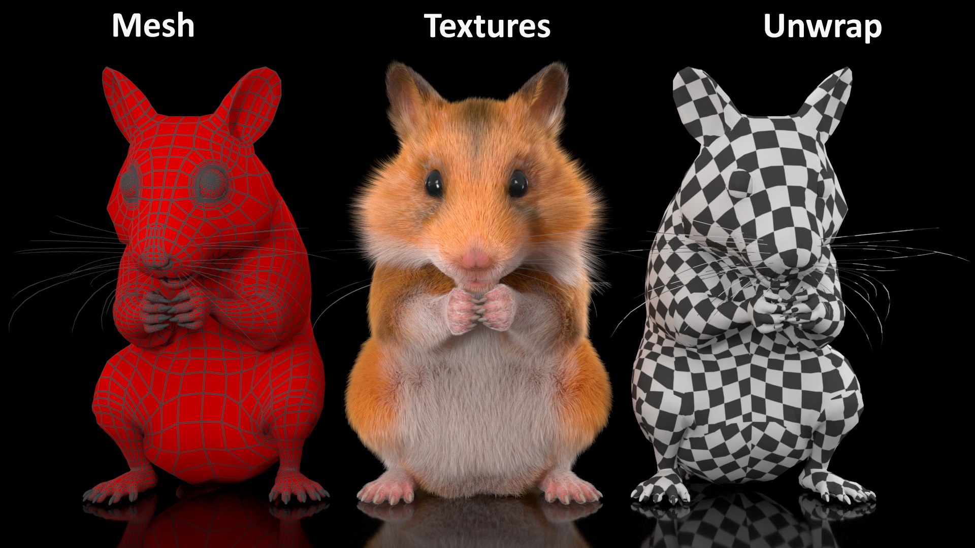 Mesocricetus Auratus Gold 3D model - TurboSquid 2058056
