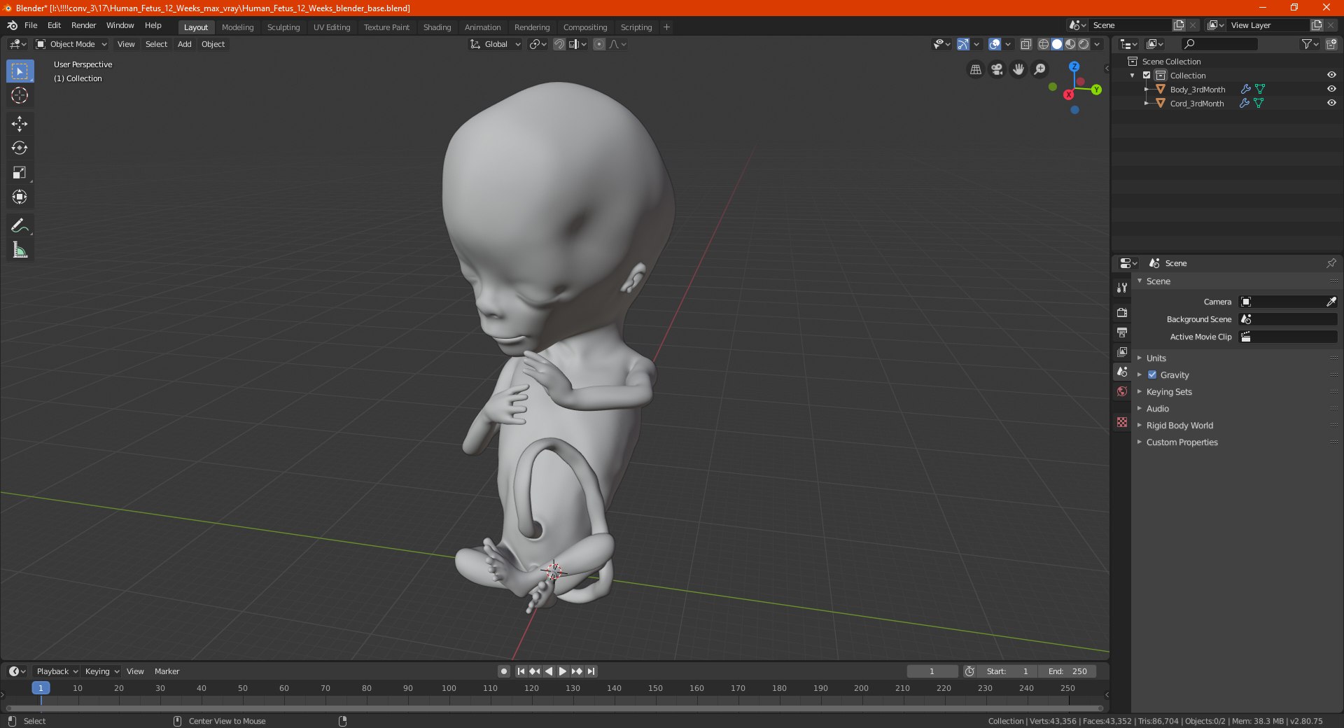 Human Fetus 12 Weeks Model - TurboSquid 1657906