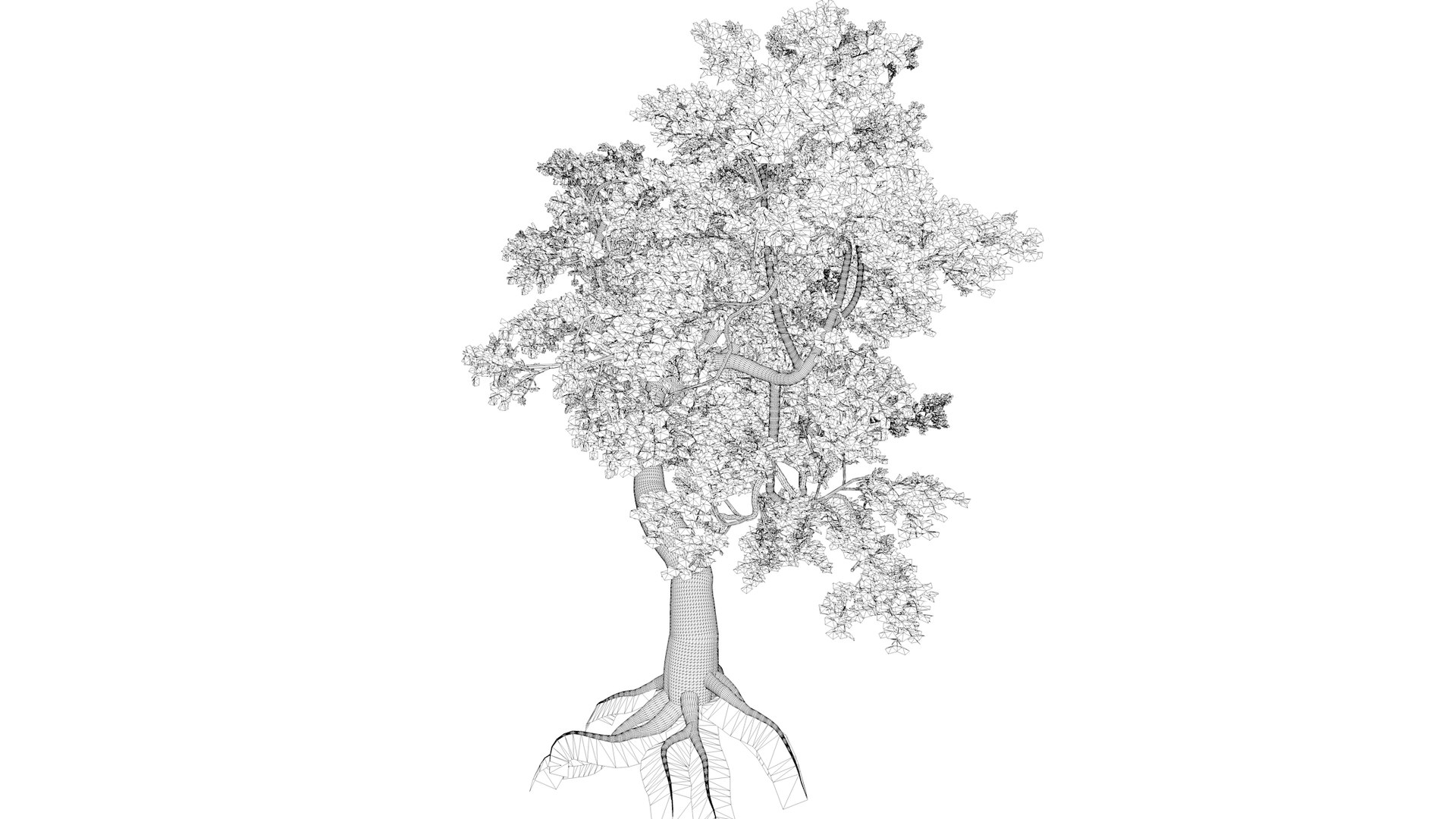 3D Model Japanese Maple Tree - 09 - - TurboSquid 2376689