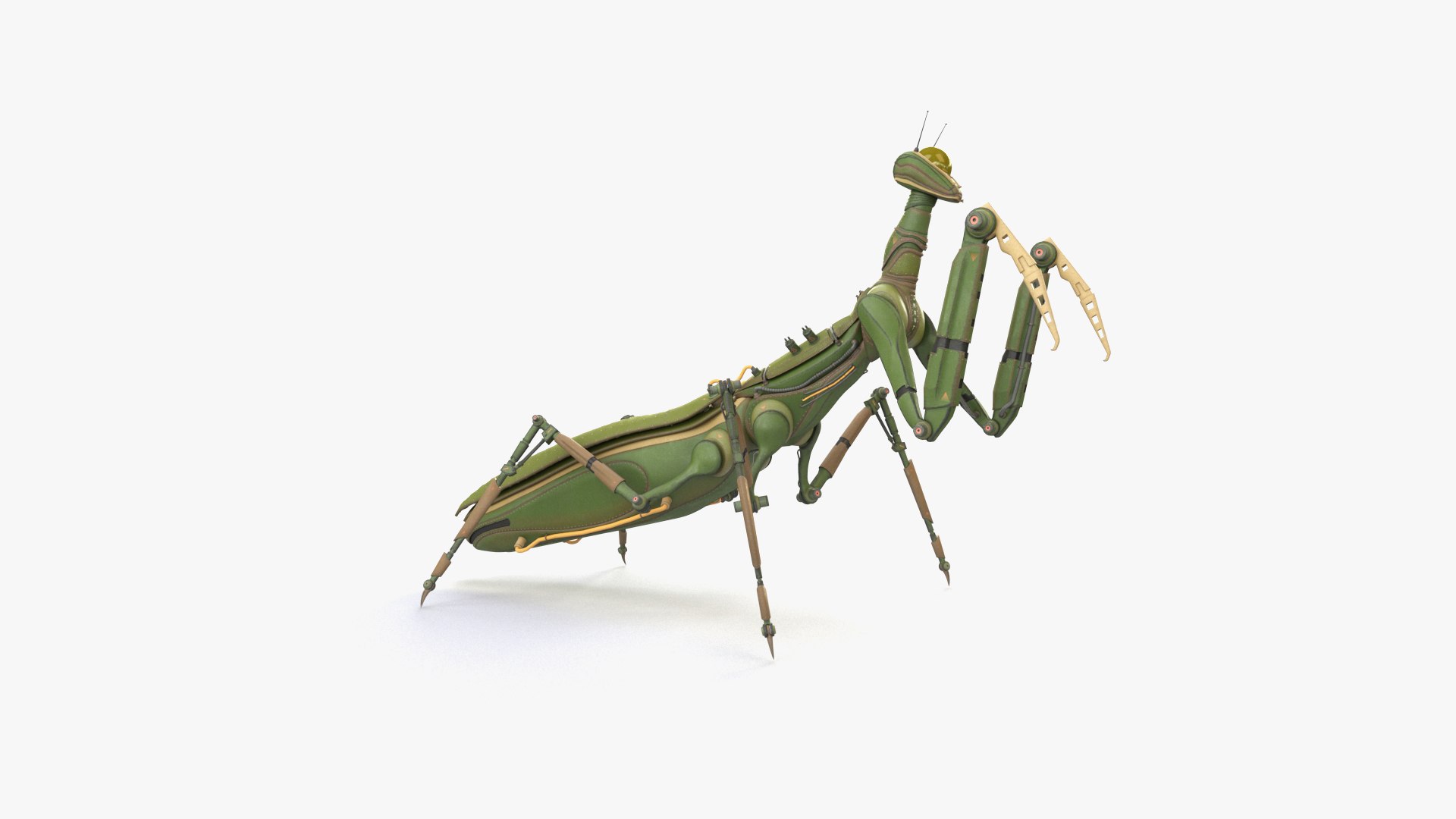 Robot Mantis 3D - TurboSquid 2091775