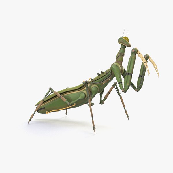 Robot Bug 3D Models for Download | TurboSquid