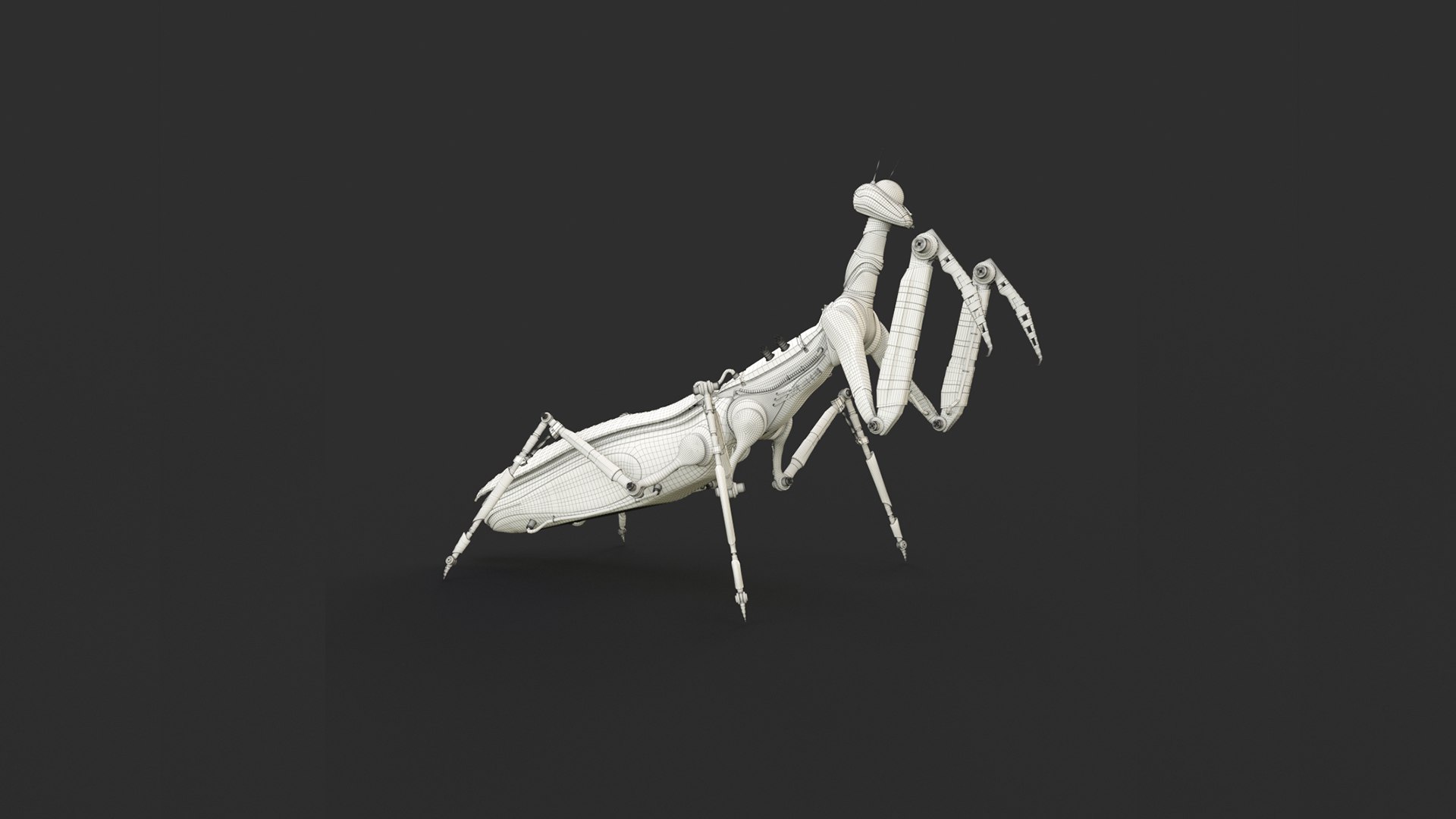 Robot Mantis 3D - TurboSquid 2091775