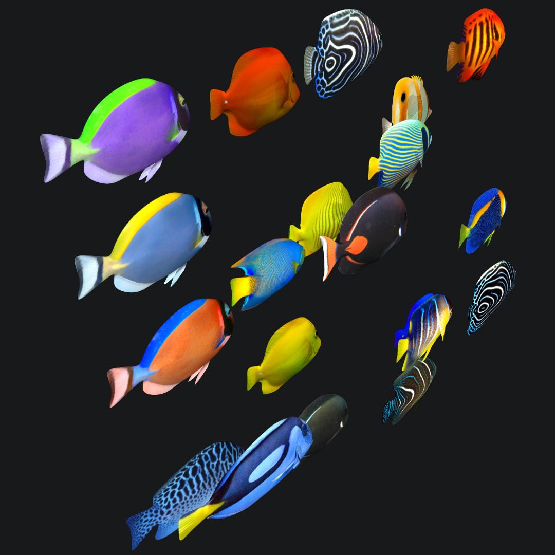 41 fish aquarium model - TurboSquid 1256039