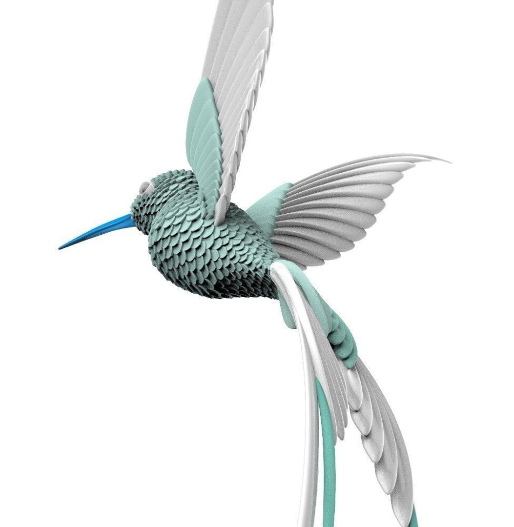 3D Colibri - TurboSquid 1469347