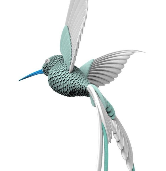 modelo 3d colibri - TurboSquid 1469347