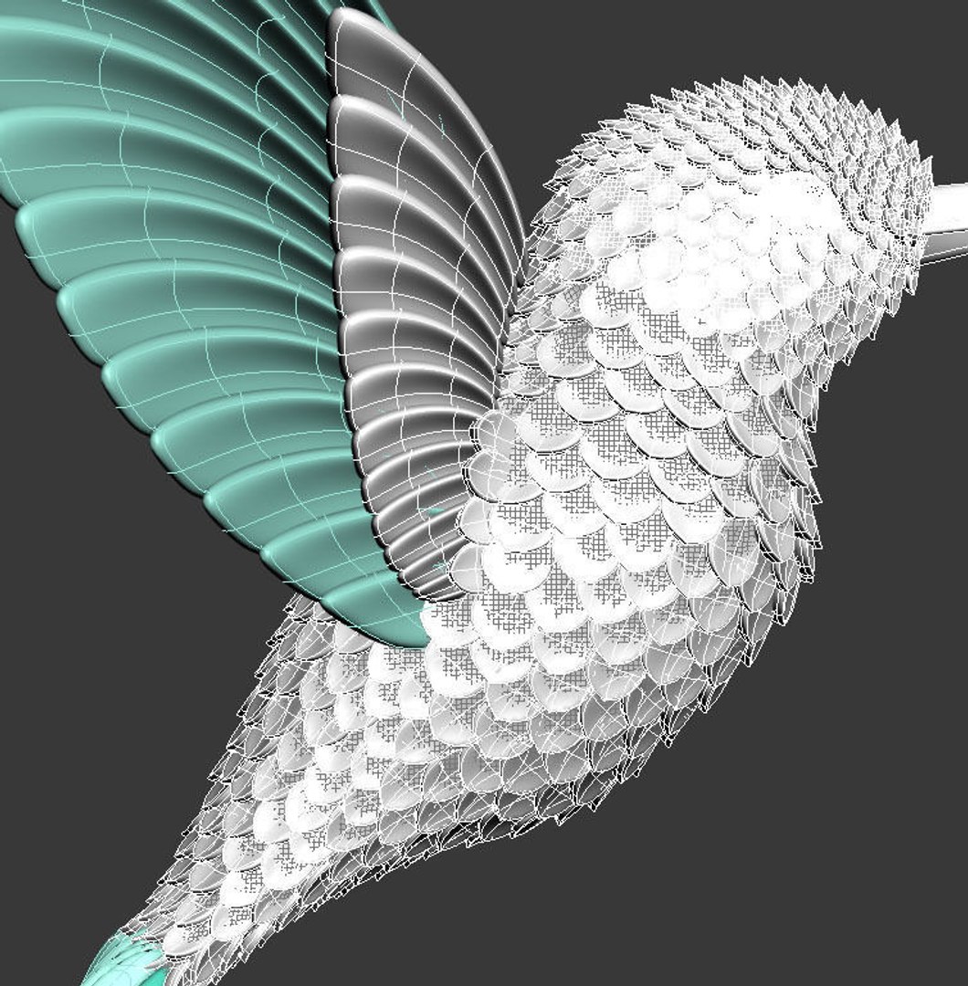 3D Colibri - TurboSquid 1469347