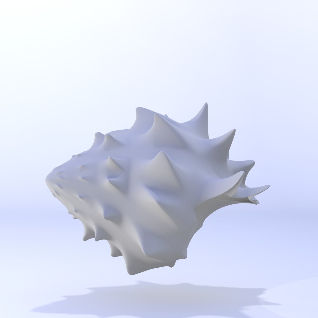 Shell 3D Model - TurboSquid 1182469