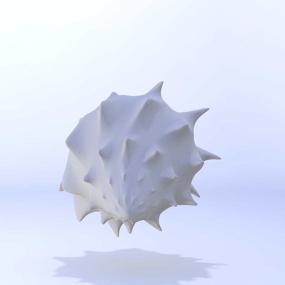 Shell 3D Model - TurboSquid 1182469