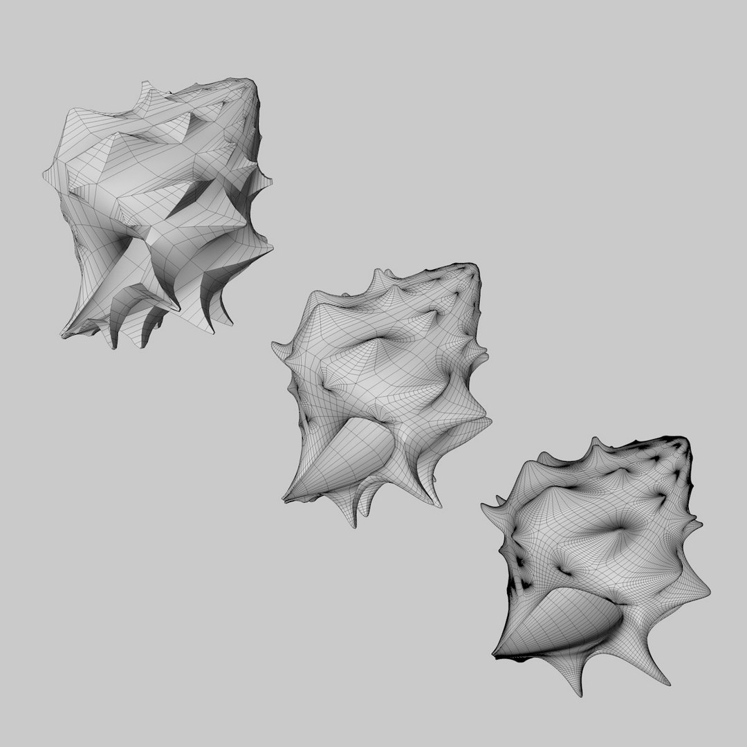 Shell 3D Model - TurboSquid 1182469