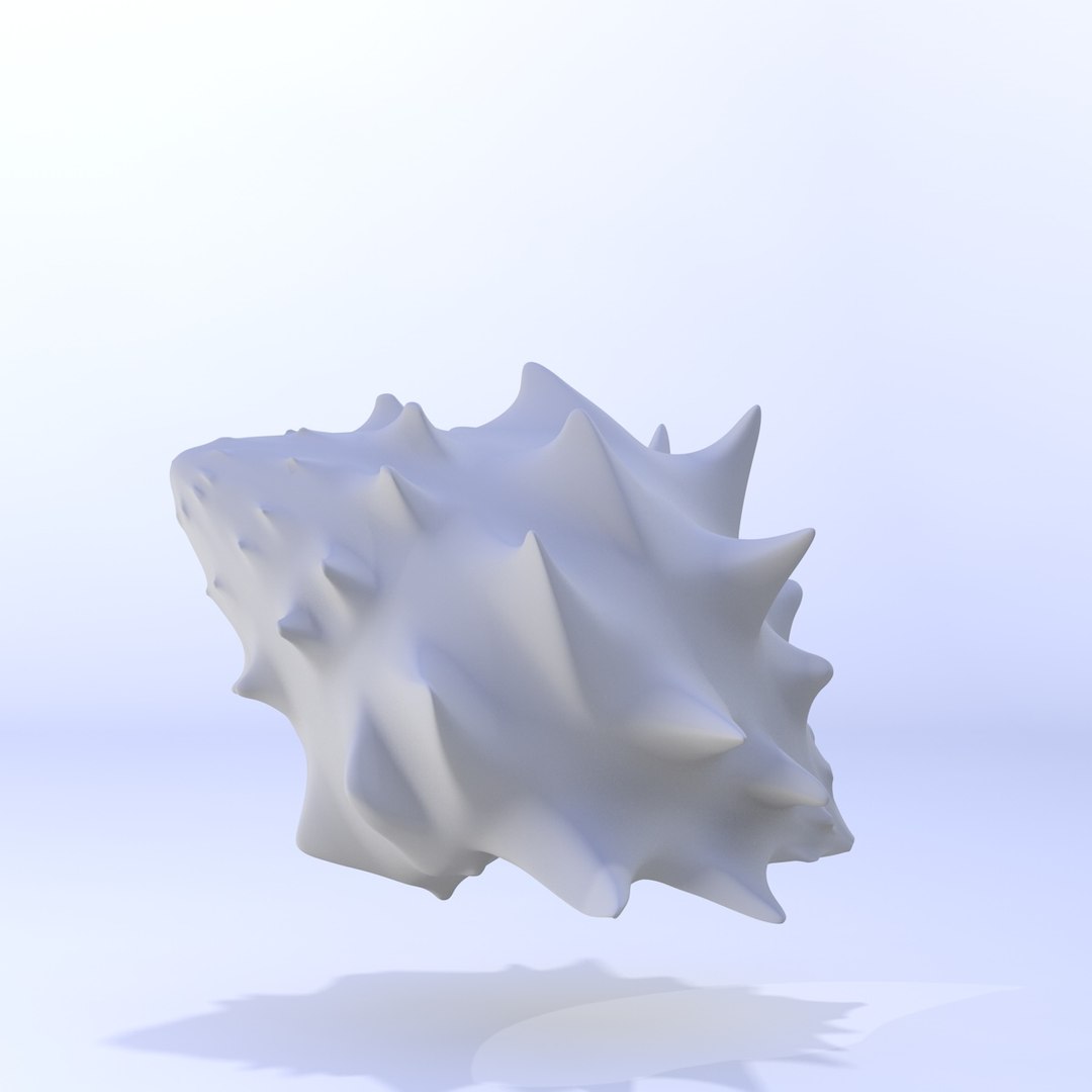 Shell 3D Model - TurboSquid 1182469