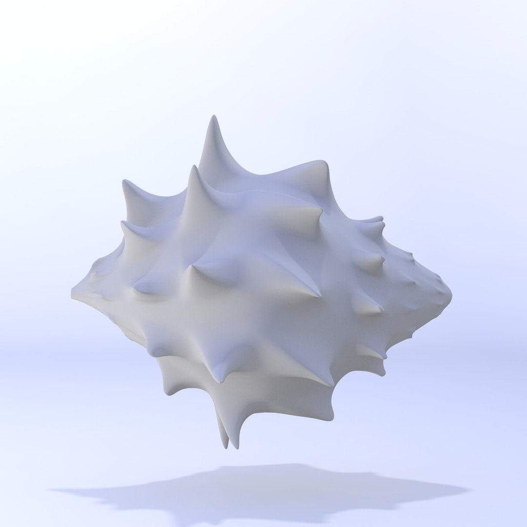 Shell 3D Model - TurboSquid 1182469