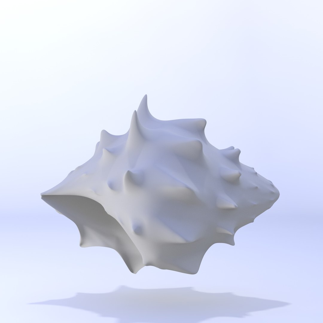 Shell 3D Model - TurboSquid 1182469