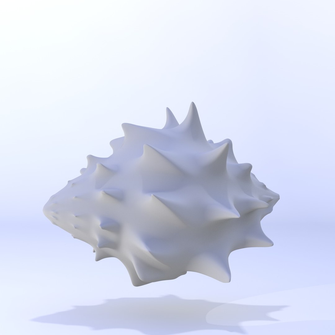 Shell 3D Model - TurboSquid 1182469
