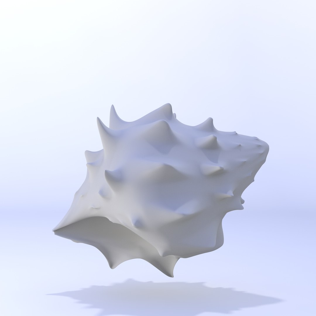 Shell 3D Model - TurboSquid 1182469