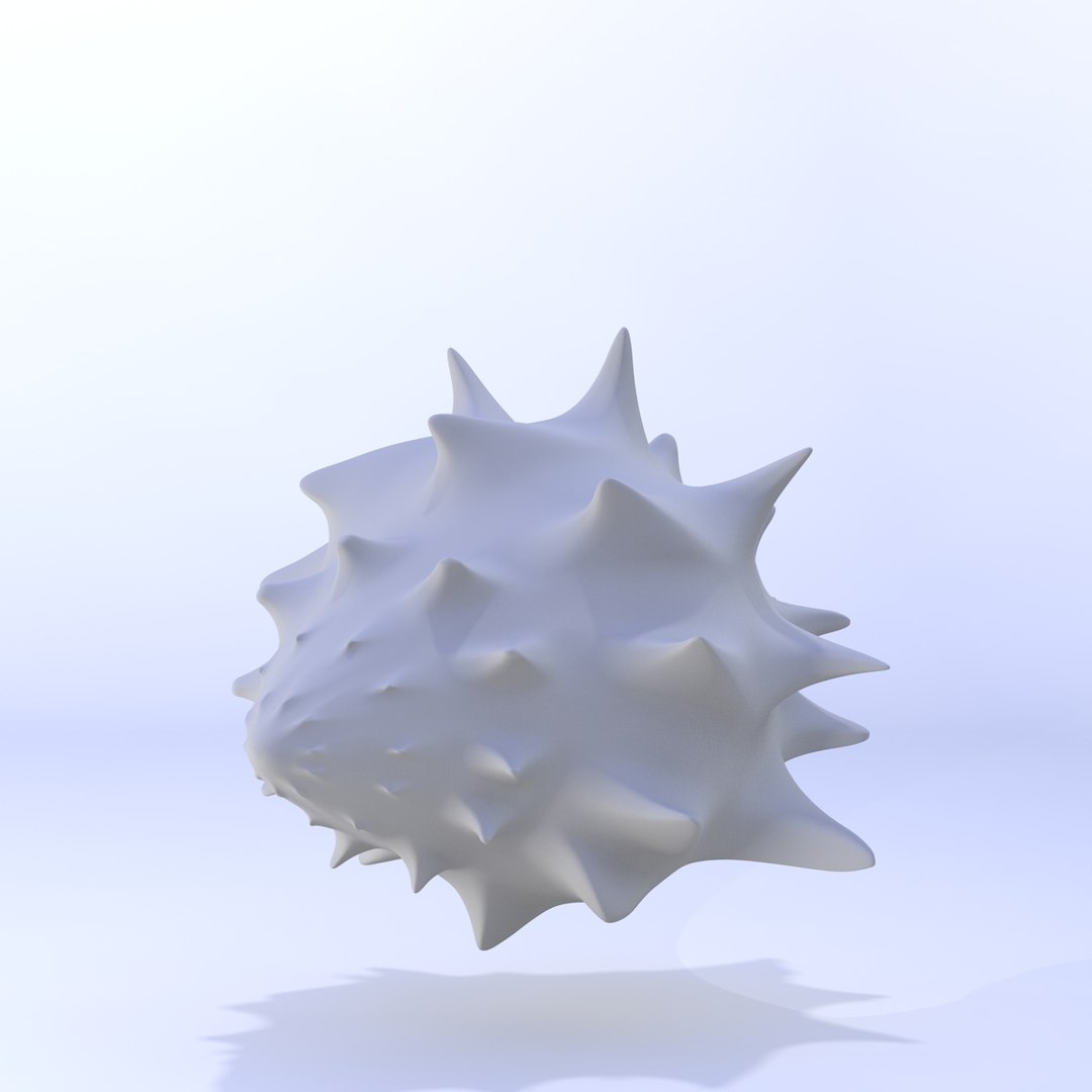Shell 3D Model - TurboSquid 1182469