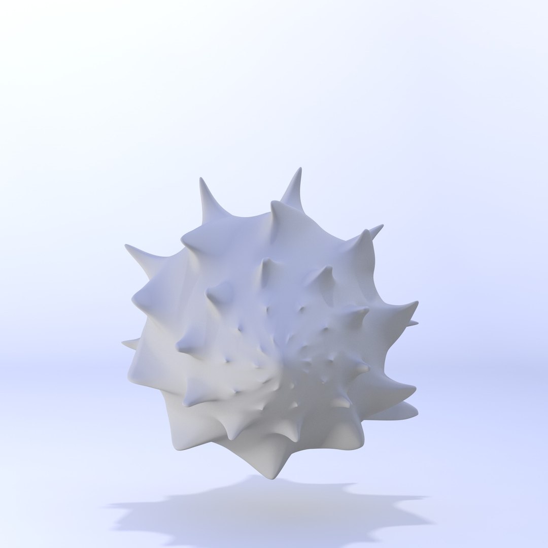 Shell 3D Model - TurboSquid 1182469
