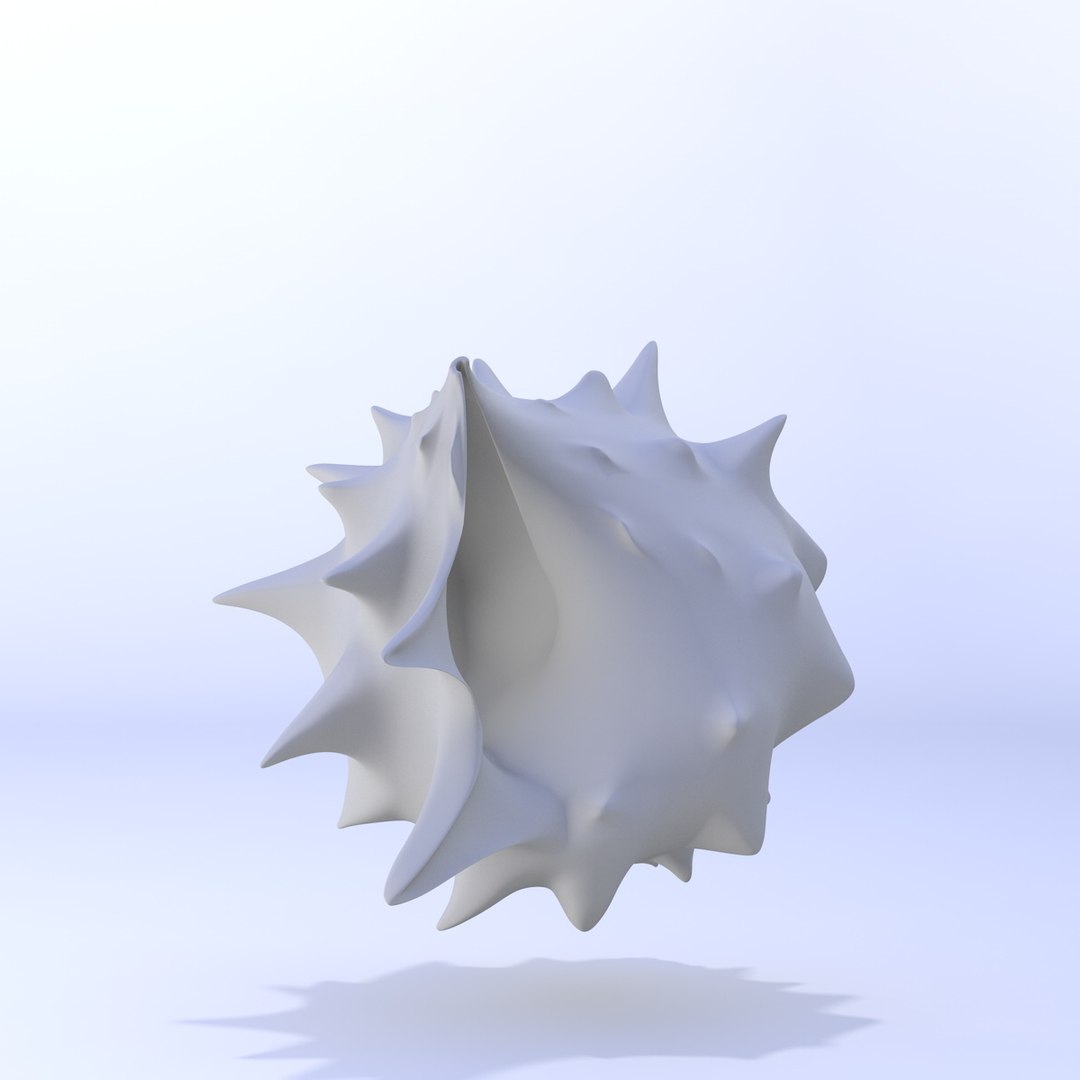 Shell 3D Model - TurboSquid 1182469