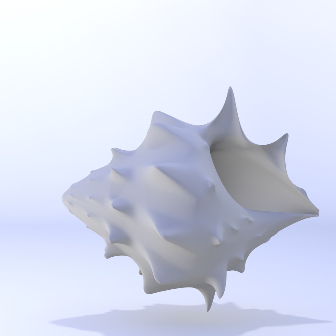 Shell 3D Model - TurboSquid 1182469