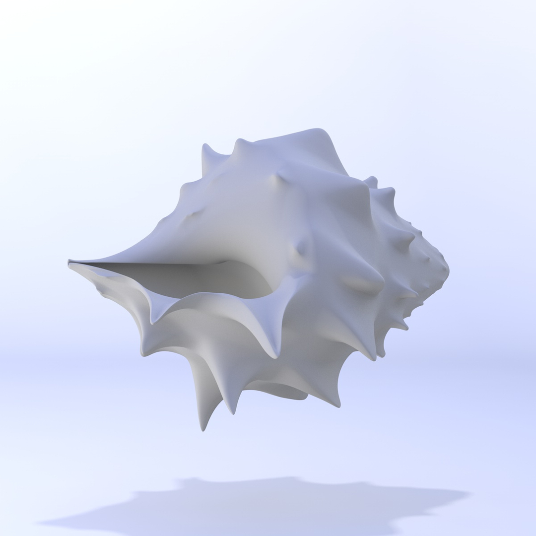 Shell 3D Model - TurboSquid 1182469