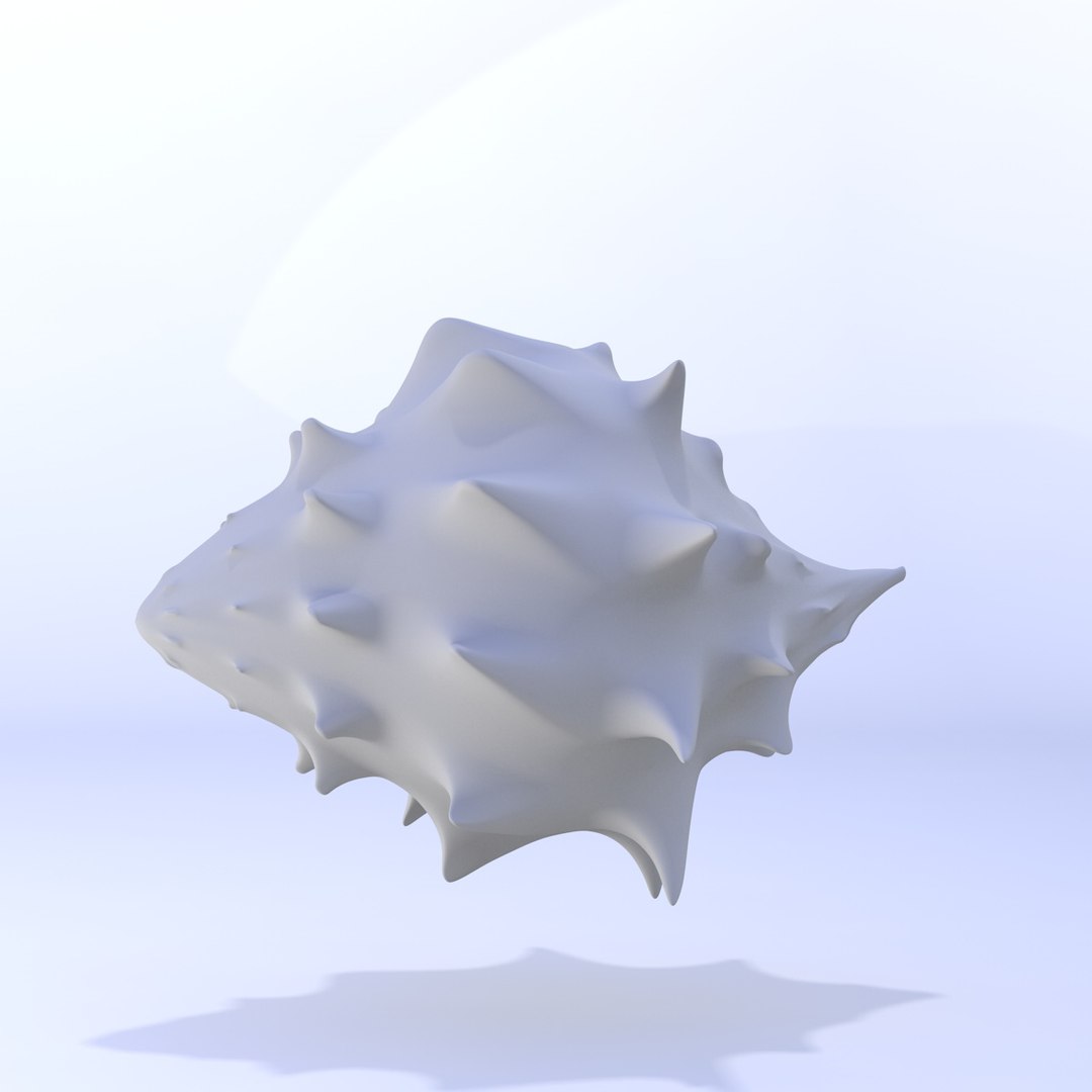 Shell 3D Model - TurboSquid 1182469