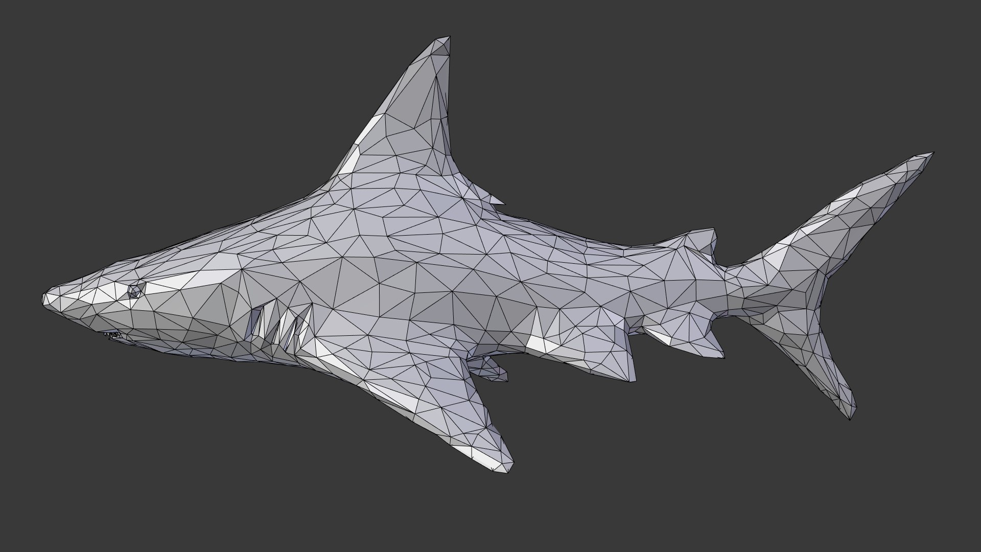 Shark Print Animation Paper 3D Model - TurboSquid 1401538