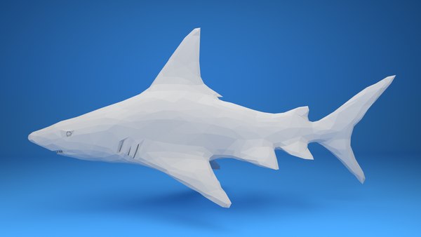Free 3D Shark Models | TurboSquid