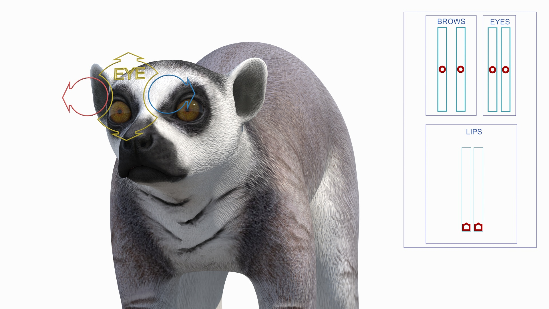 3D Lemur Rigged - TurboSquid 2193424