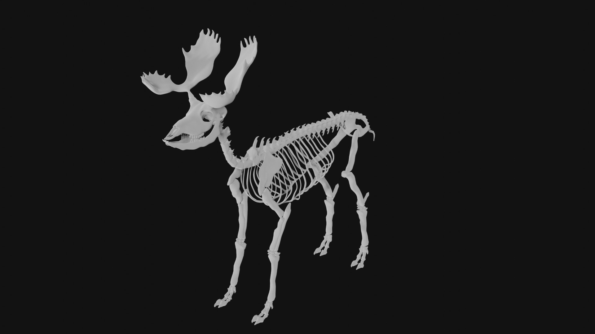 3D Moose Skeleton - TurboSquid 1983384