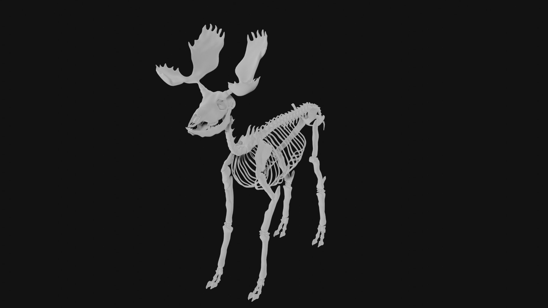 3D Moose Skeleton - TurboSquid 1983384
