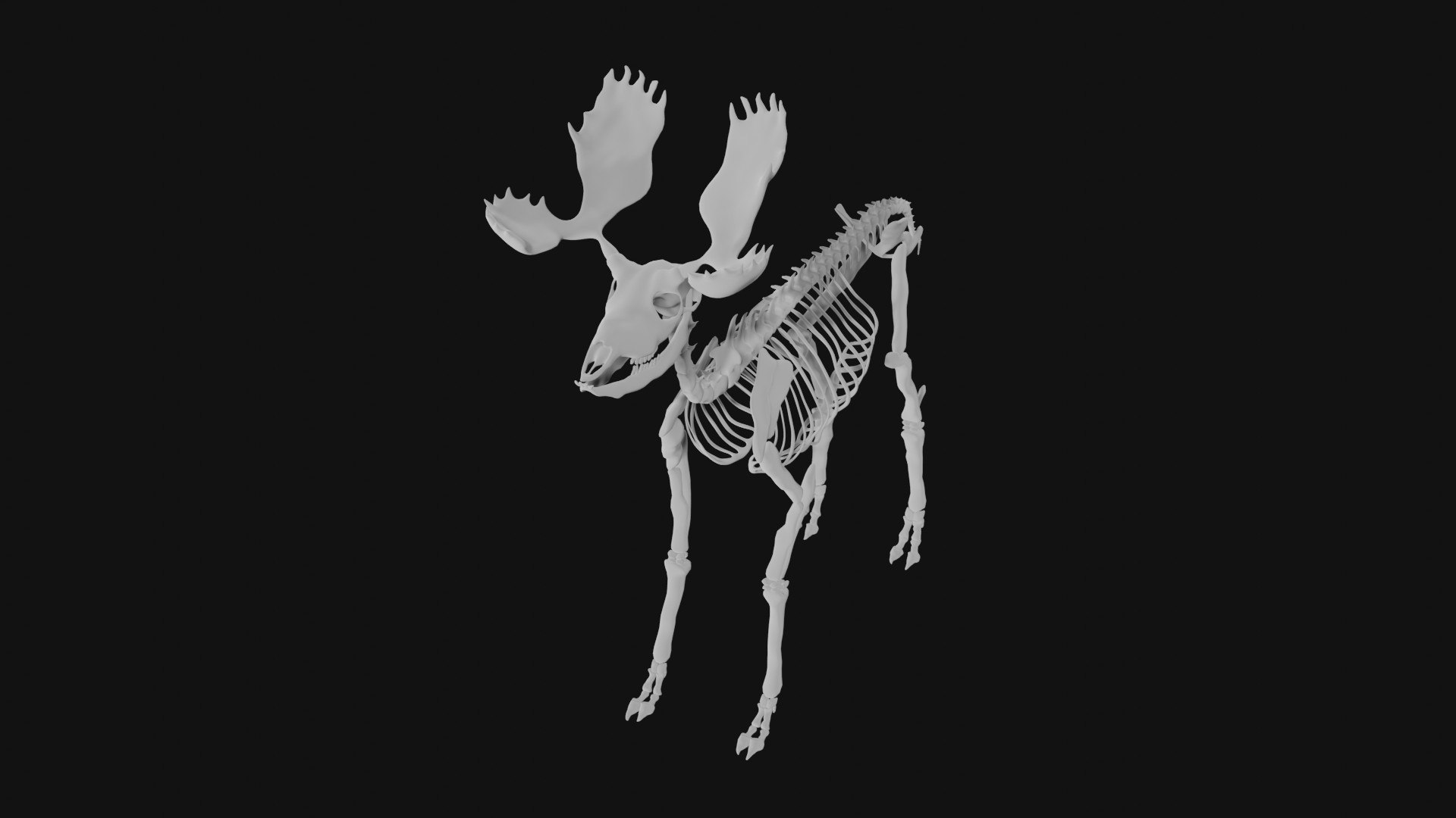 3D Moose Skeleton - TurboSquid 1983384