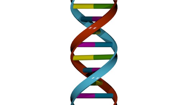 max dna helix
