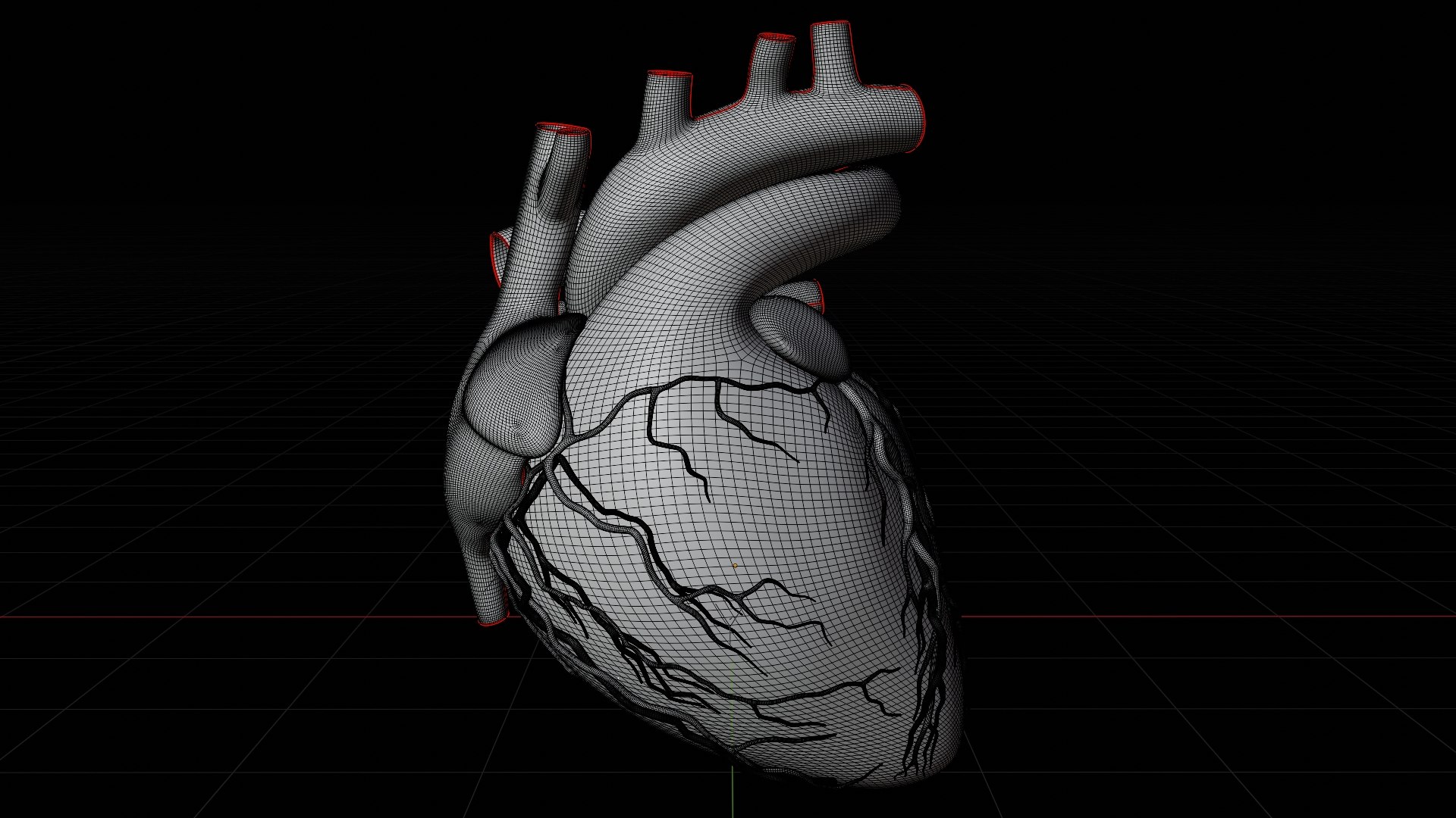 Human Heart - Realistic 3D Model - TurboSquid 2338120