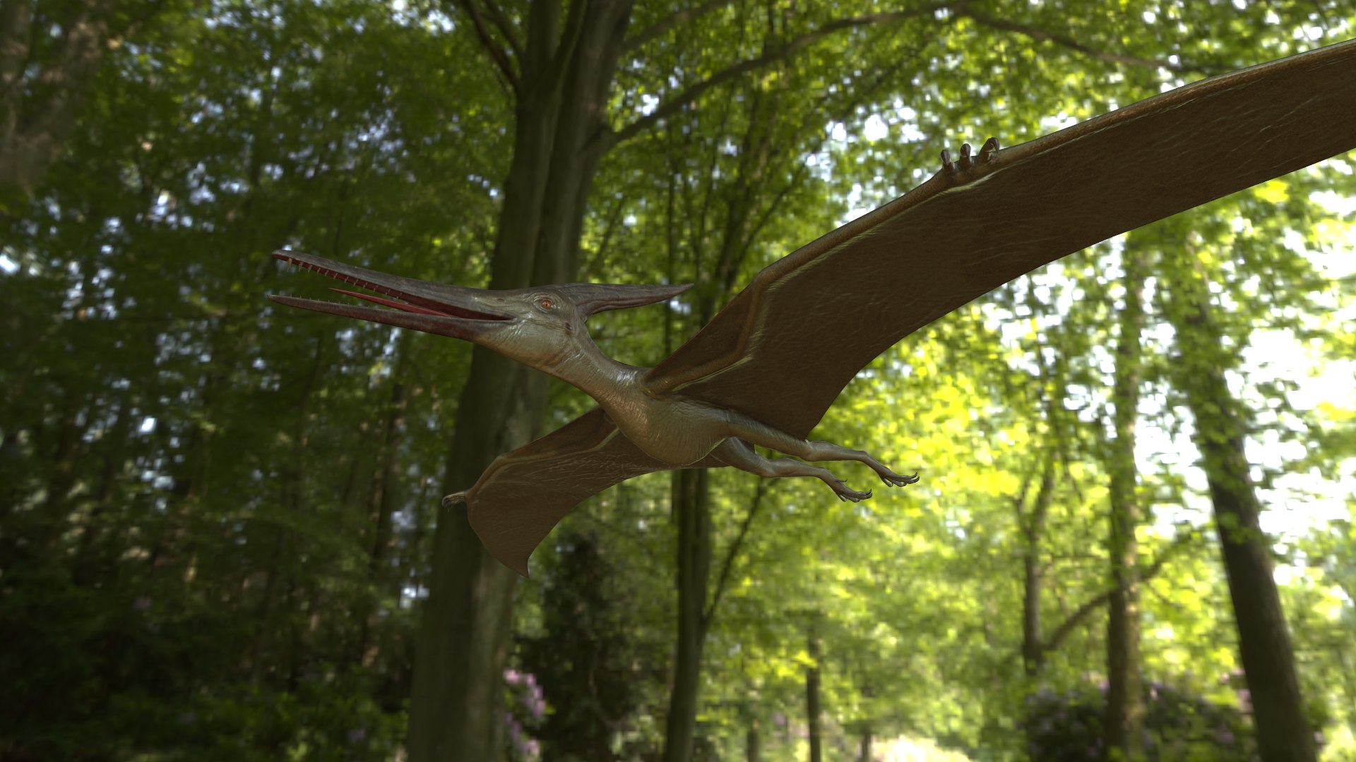 3D Pterodactyl Model - TurboSquid 1381356